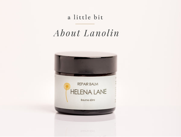 Lanolin | Where it's from and why it works for Eczema and Irritation ...